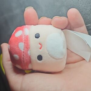 Squishmallows | Toys | 2 Malcom The Mushroom Micromallow Squishmallows ...